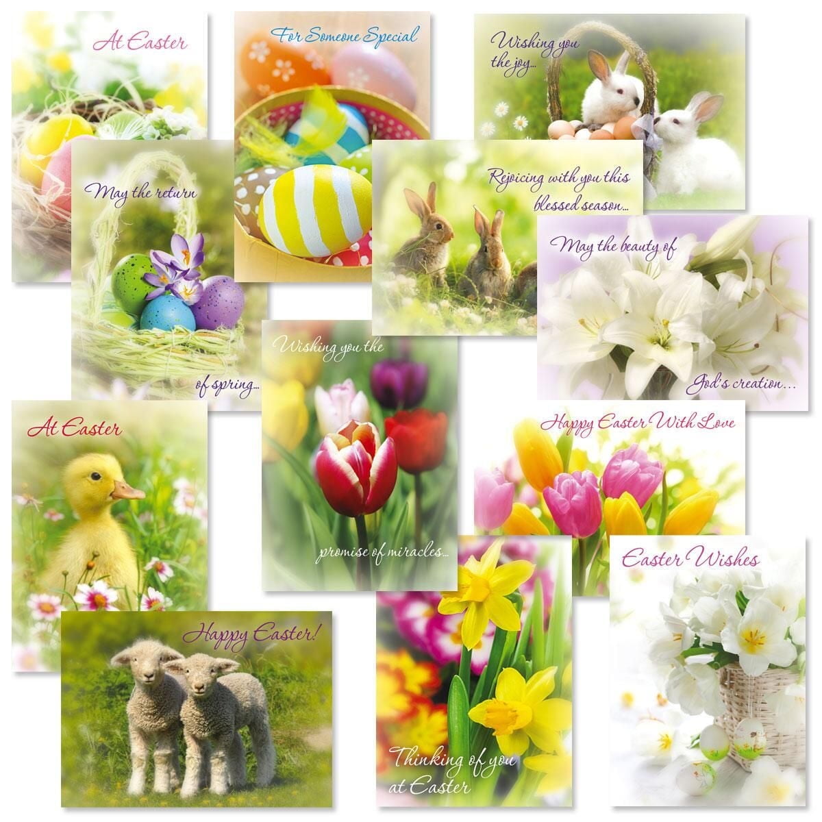 Current Easter Photo Greeting Cards Value Pack - Set of 12 Large 5" x 7 ...