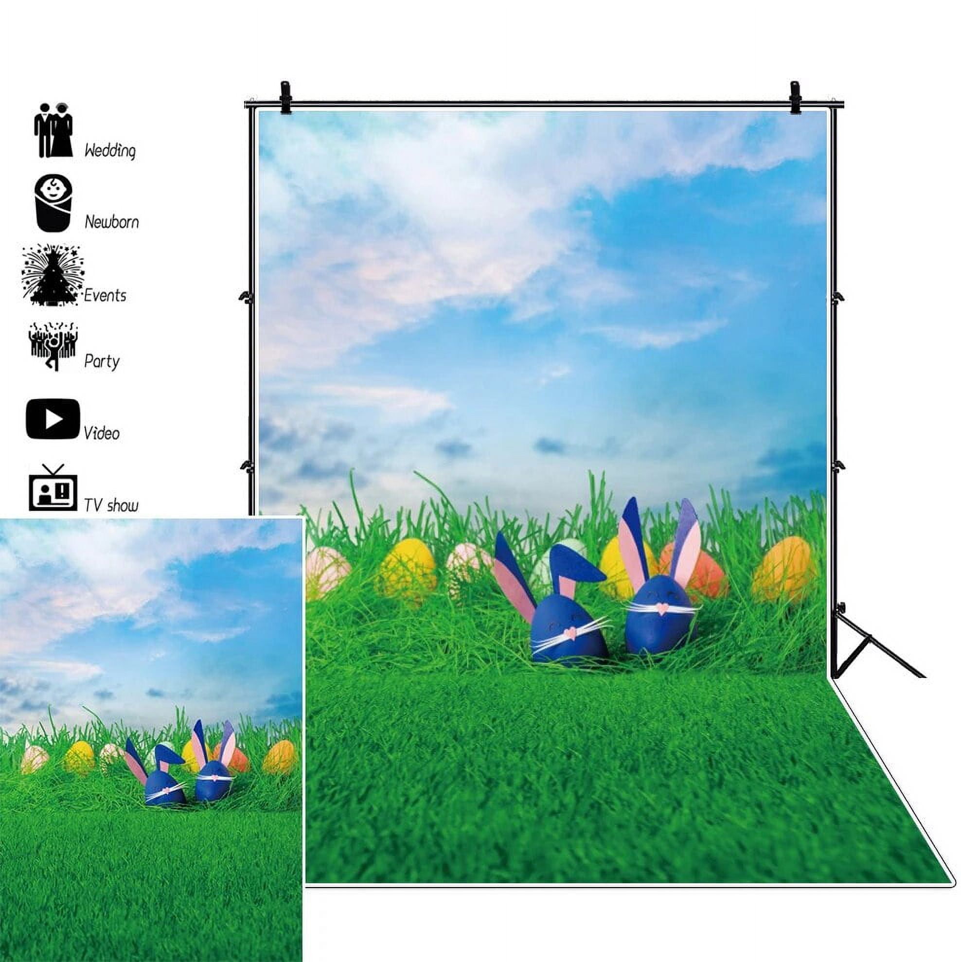 Easter Photography Backdrops 2024 New Spring Wooden Boardwalk Wall ...