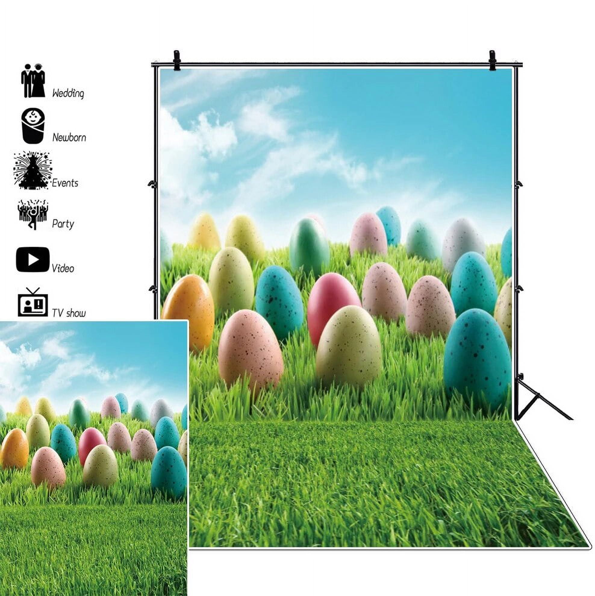 Easter Photography Backdrops 2024 New Spring Wooden Boardwalk Wall ...