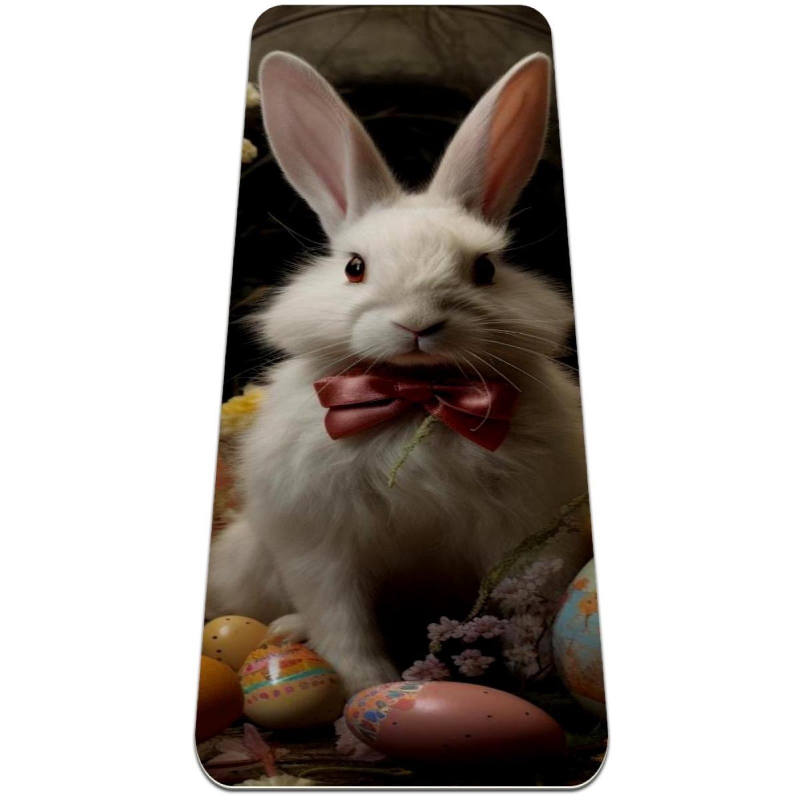 Easter TPE Exercise Mats for Yoga Pilates, Cushioned Workout Mat with ...