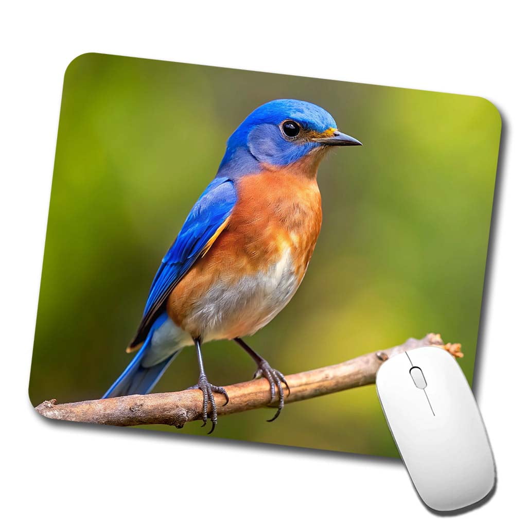 Eastern Bluebird Backyard Bird Mouse Pad Low Profile Gaming Mat ...