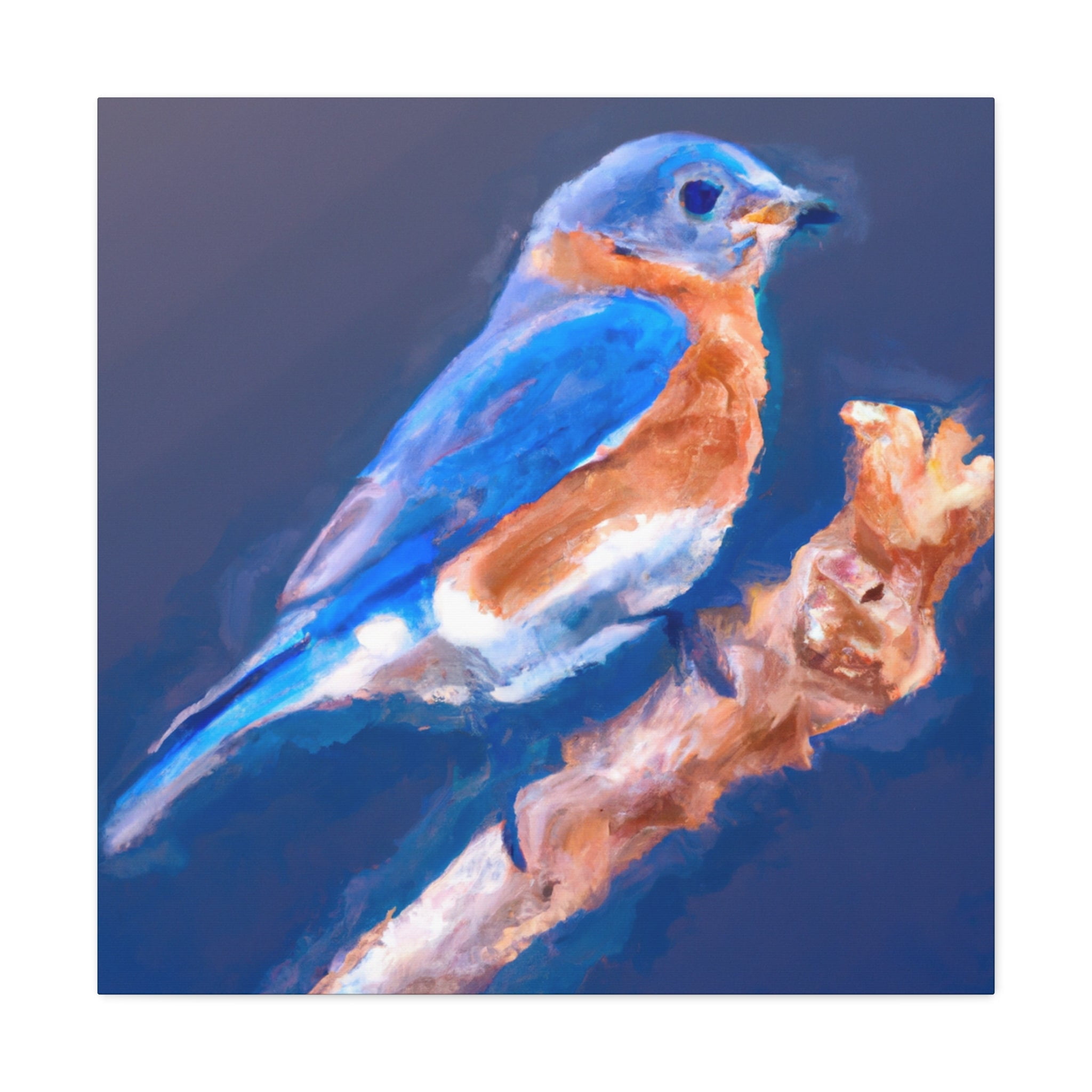 Eastern Bluebird Dreaming - Canvas - Walmart.com