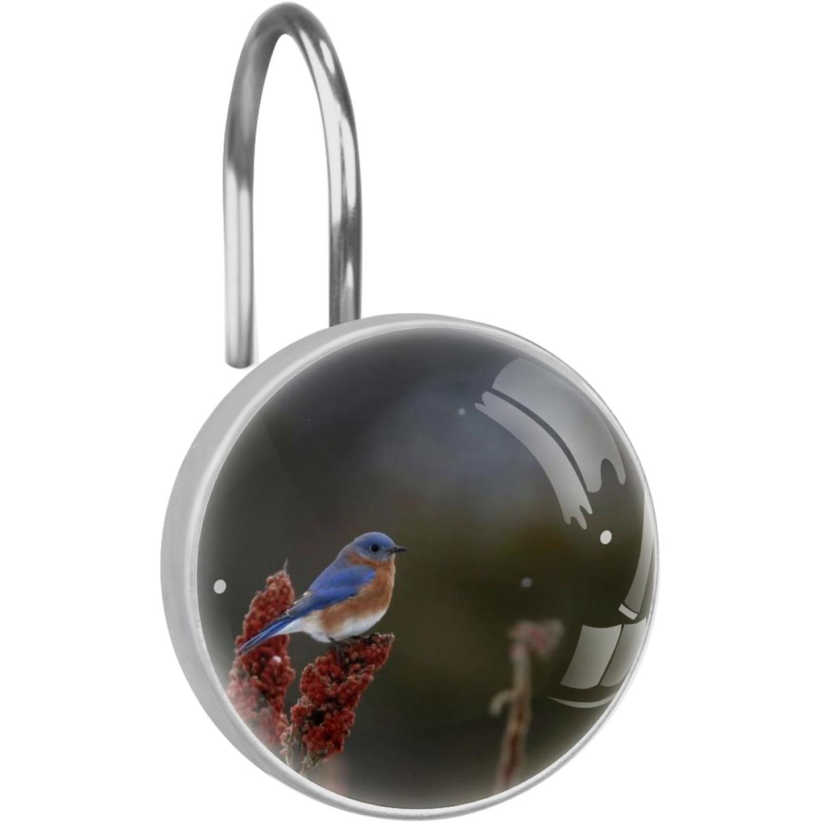 Eastern Bluebird Emblem of Clarity and Freedom_20 Round Shower 1 PC ...