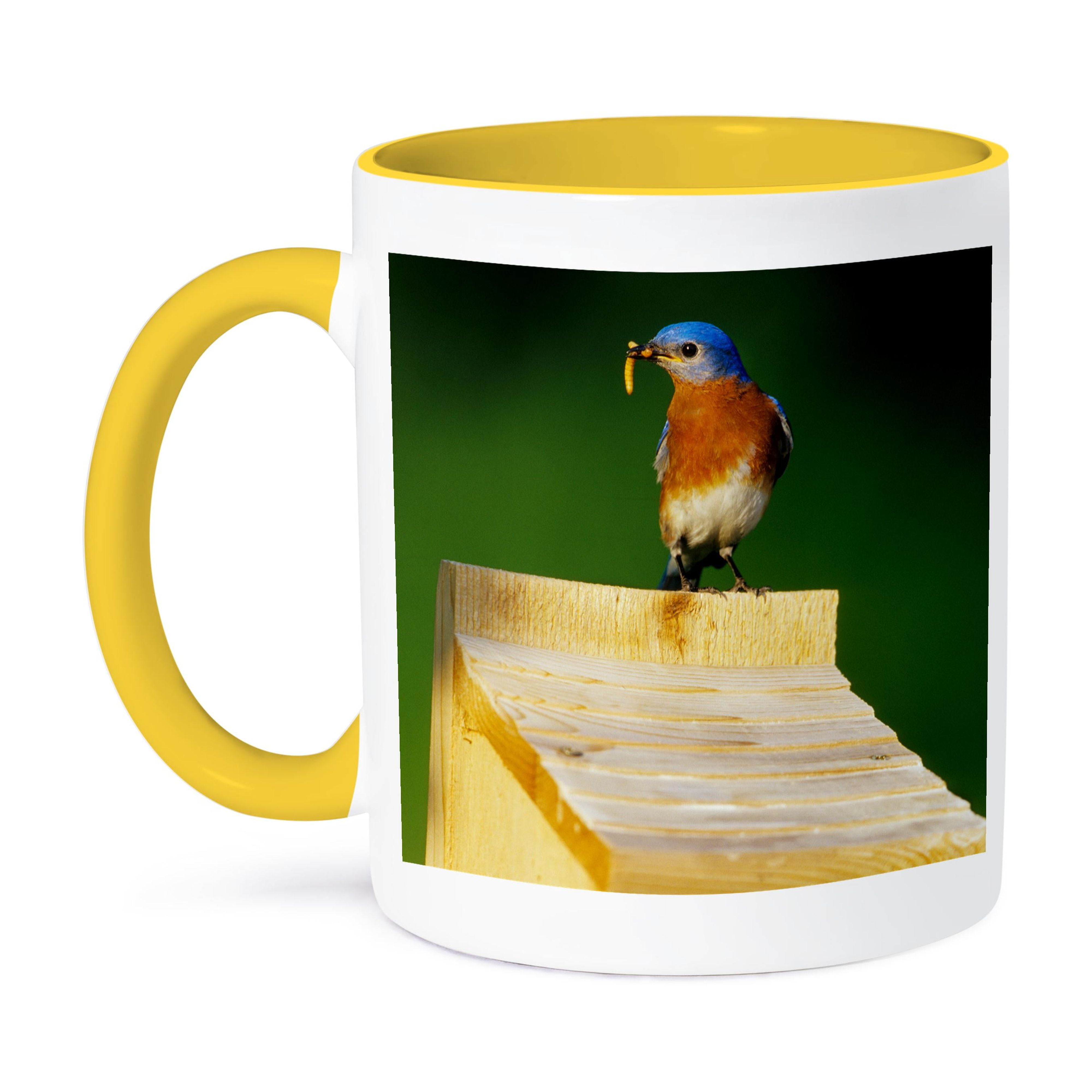 3dRose, Eastern Bluebird male with mealworms at nestbox, Illinois, 11oz ...