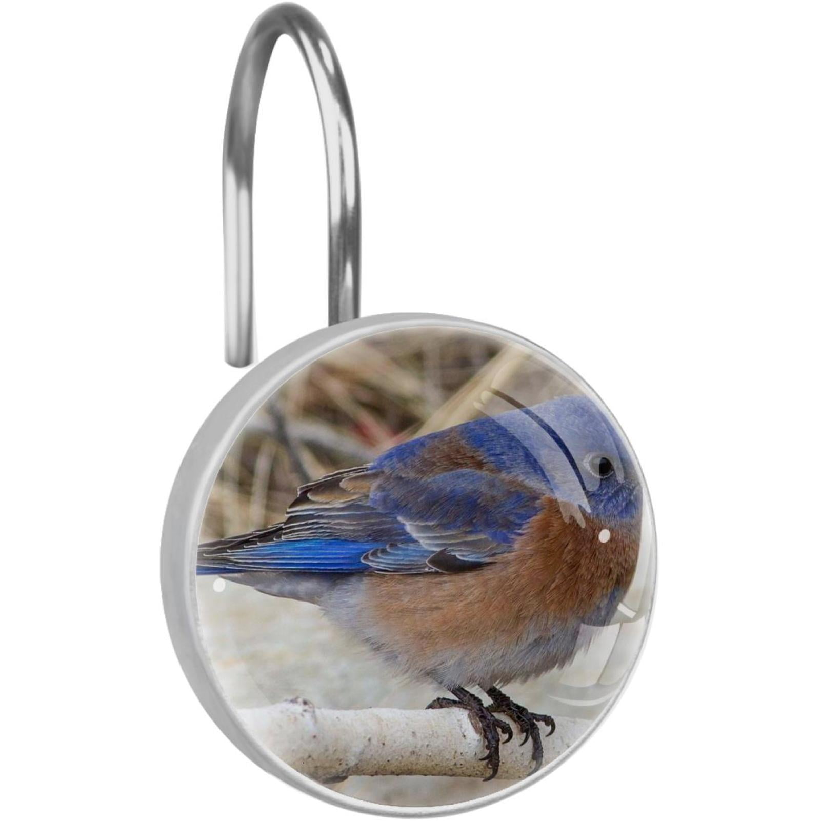 Eastern Bluebird Sign of New Beginnings and Positive Energy_84 Round ...