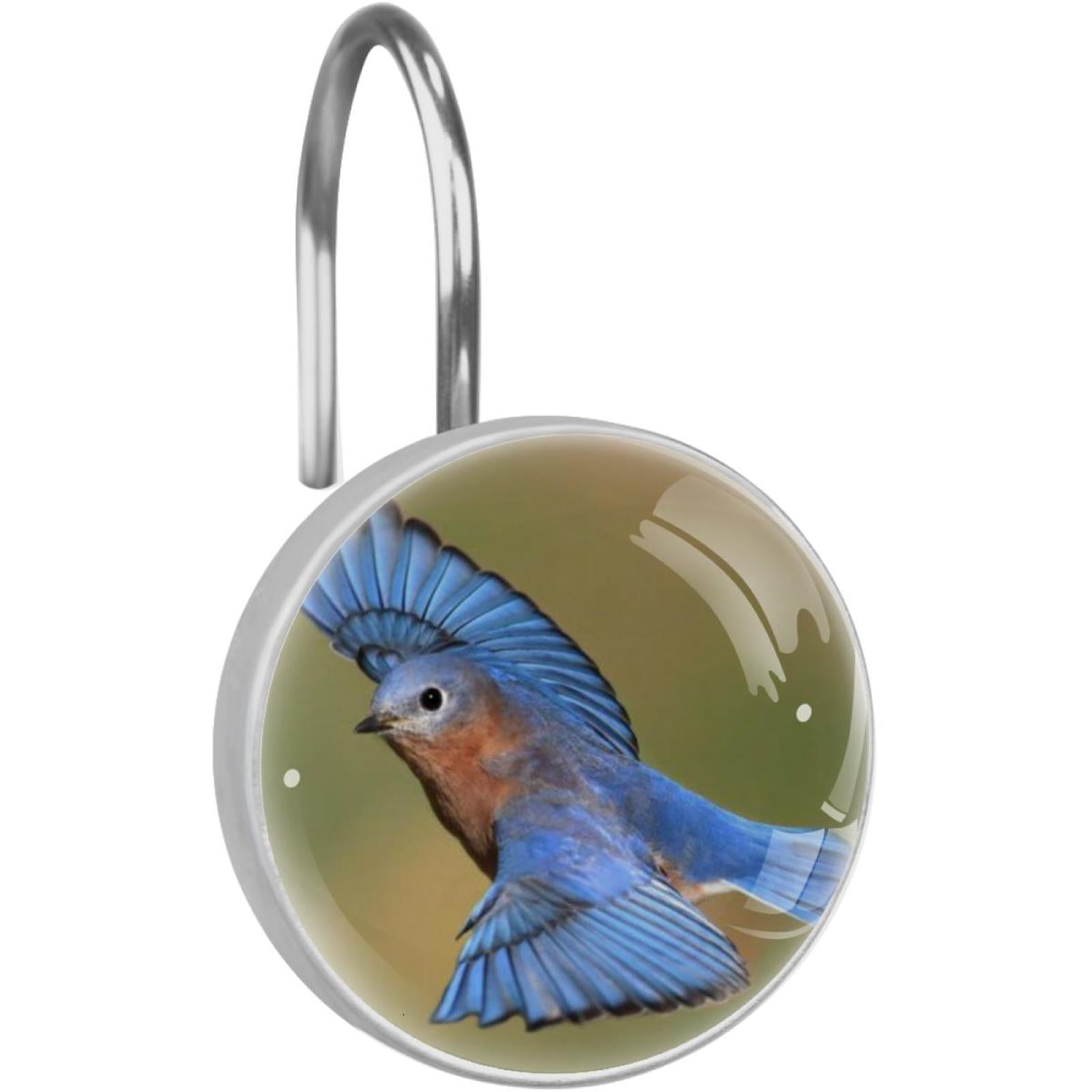 Eastern Bluebird Sign of Spring and Positive Energy_69 Beautiful Shower ...