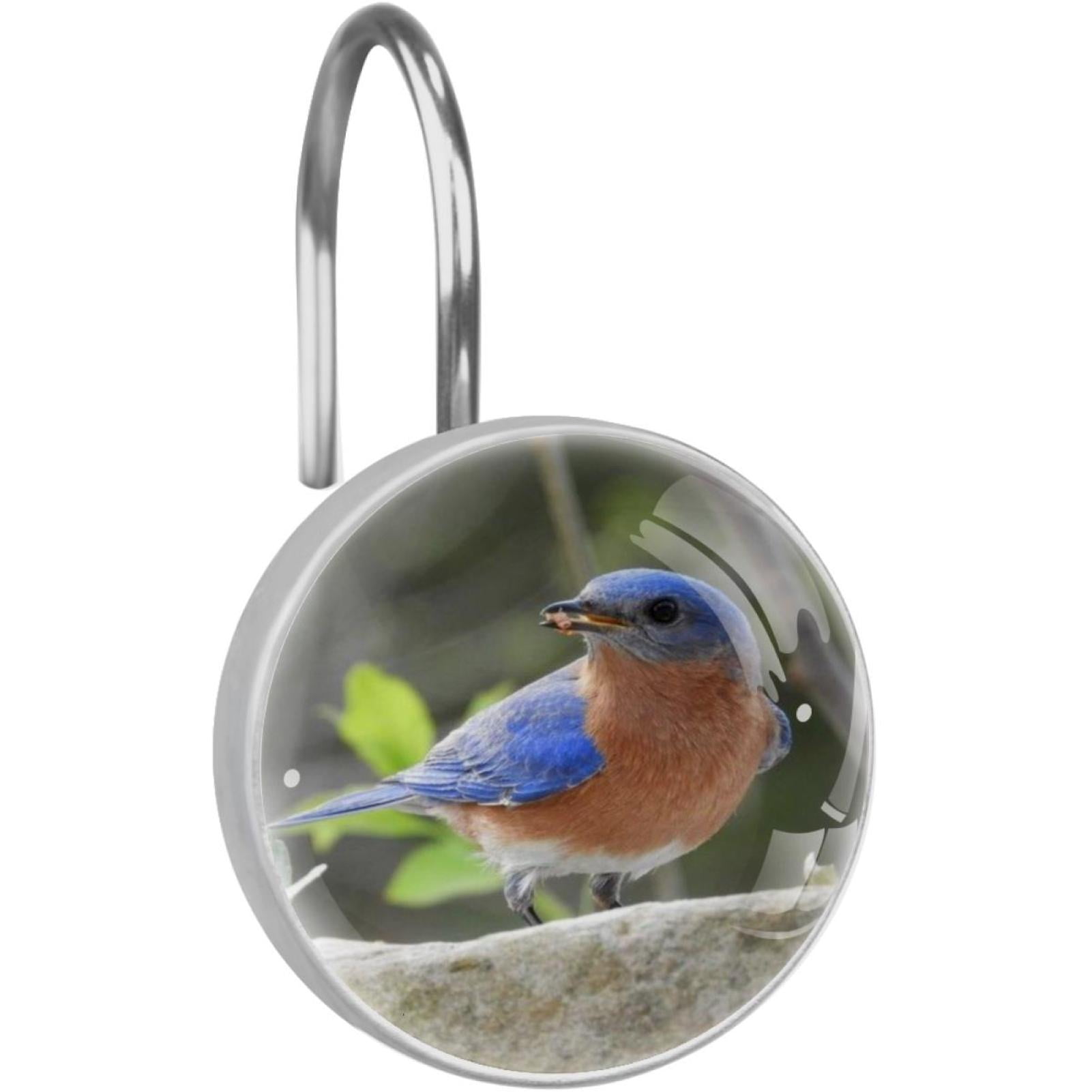 Eastern Bluebird Symbol of Good Luck and Clarity_52 Round Shower 1 PC ...