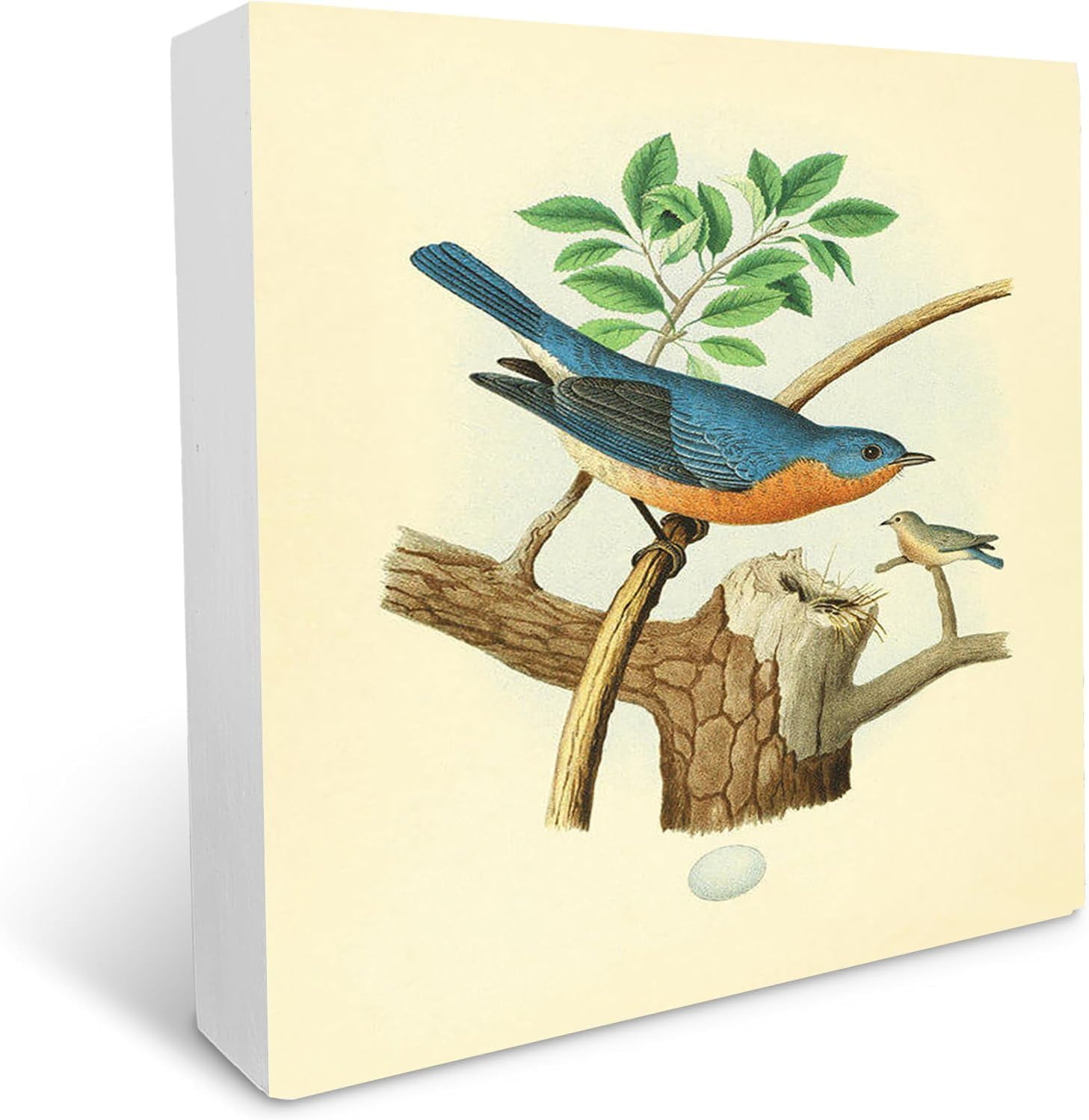 Eastern Bluebird Wooden Box Sign Home Decor Wood Sign Desk Decoration ...