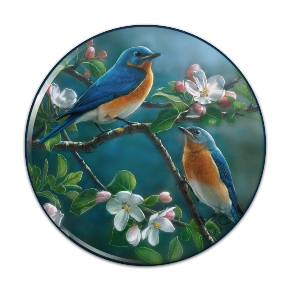 Eastern Bluebirds Blue Birds Thrush Pinback Button Pin - Walmart.com