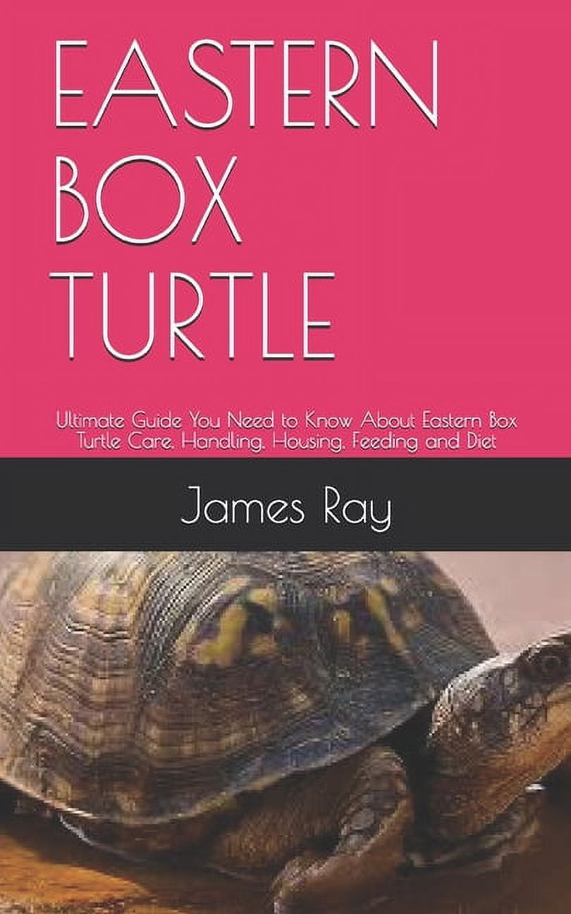 Eastern Box Turtle: Ultimate Guide You Need to Know About Eastern Box ...
