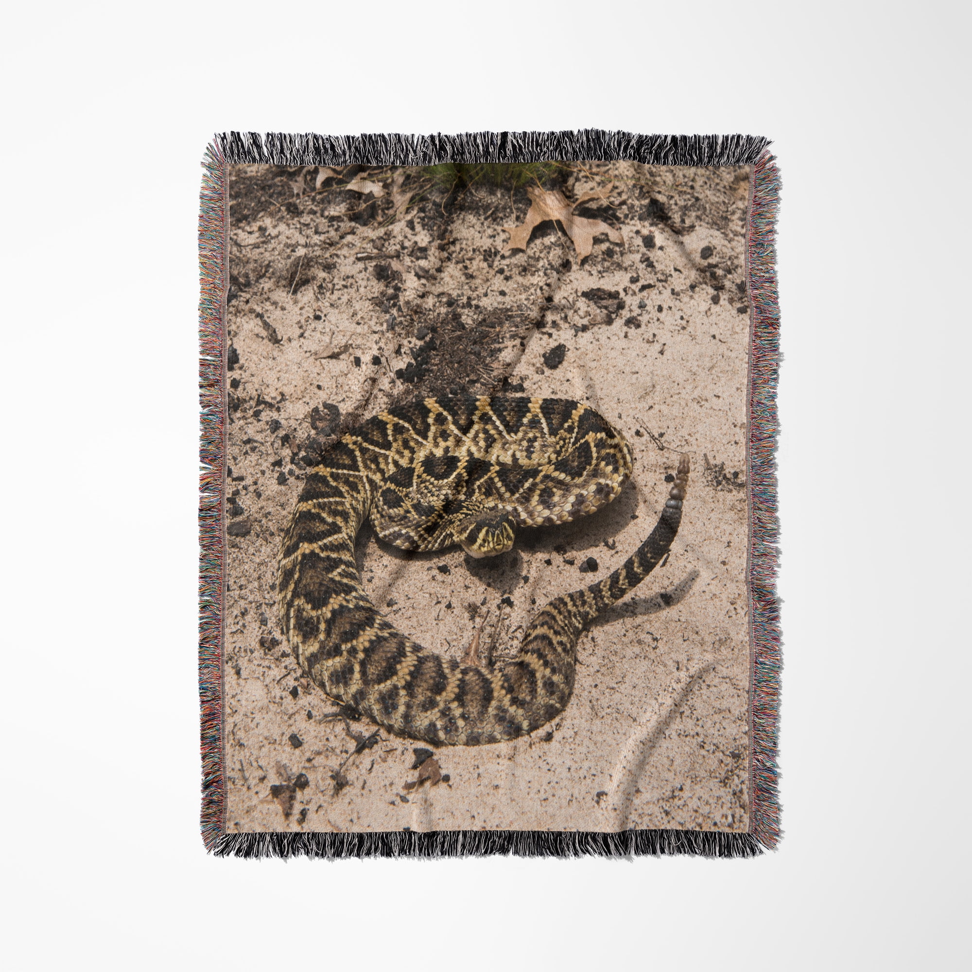 Eastern Diamondback Rattlesnake, Telfair County. Georgia, Usa, Woven ...