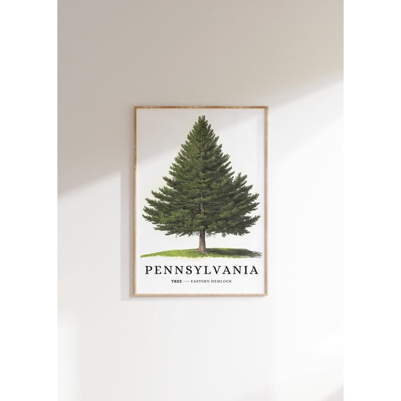 Eastern Hemlock Tree Poster: Pennsylvania State Symbol, Unframed Poster ...