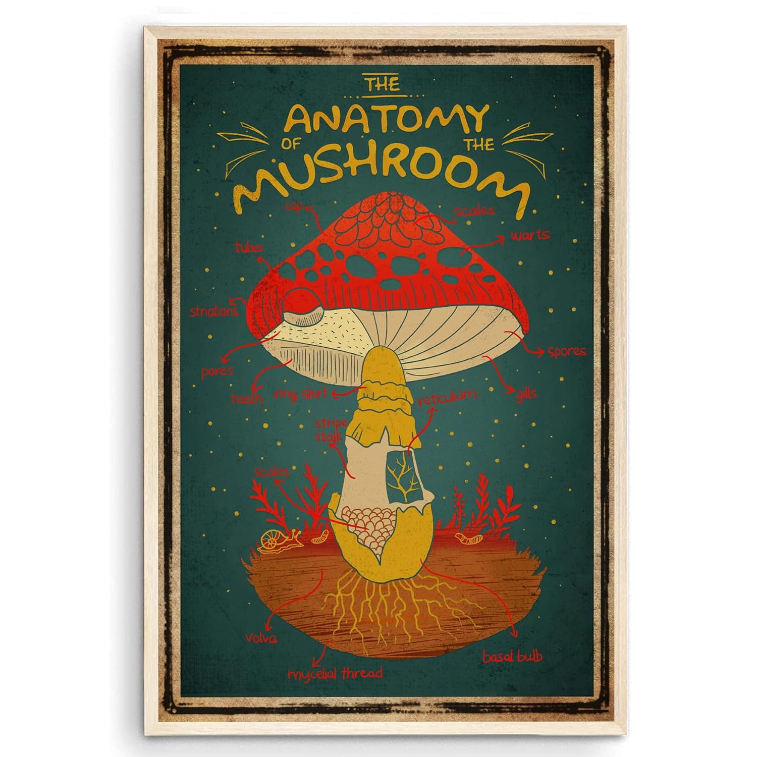 Eastern Print The Anatomy Of A Mushroom Print, Mushroom Art, Plant ...