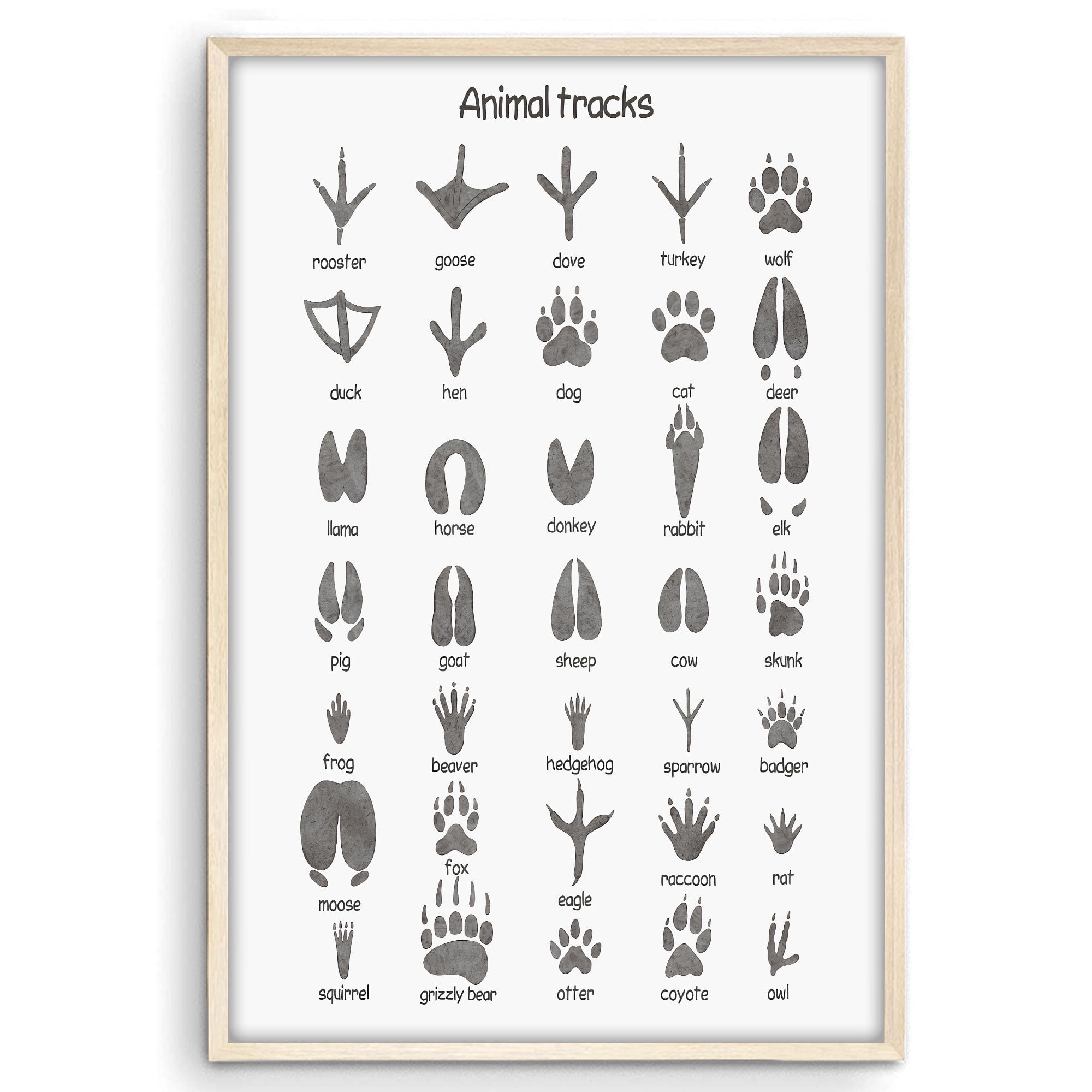 Eastern Print Animal Tracks Poster - Woodland Nursery Wall Art For ...