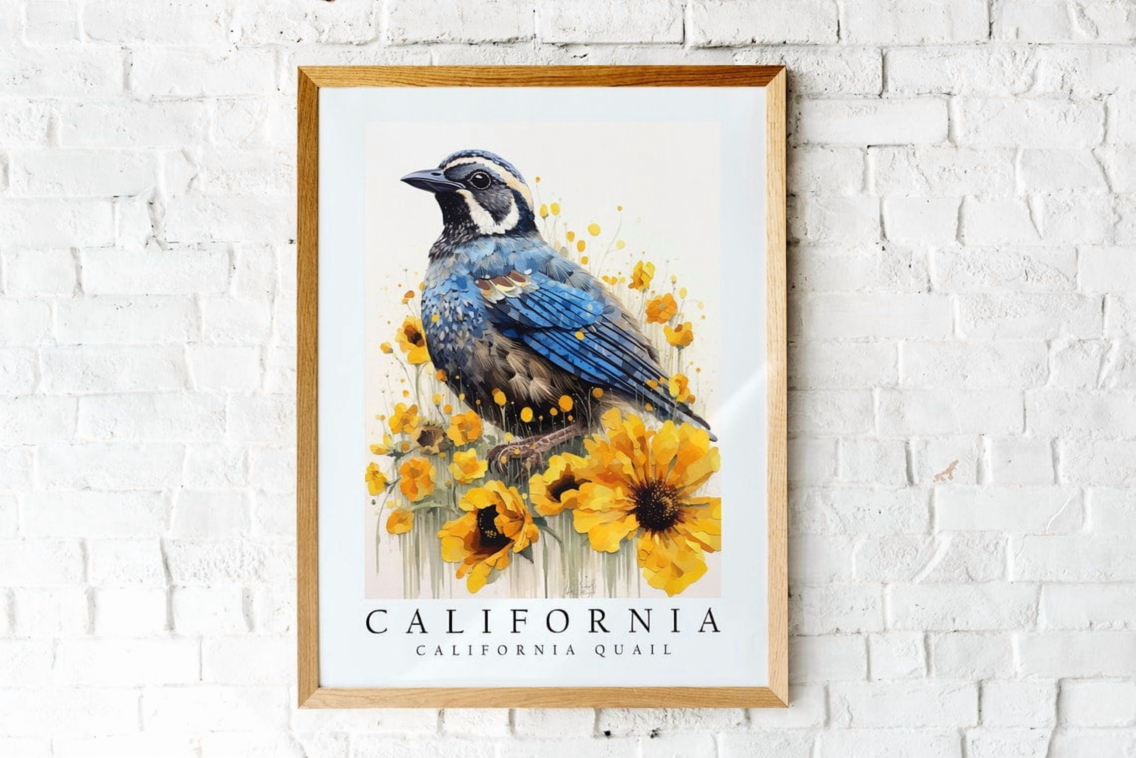 Eastern Print California Quail California State Bird Poster Nature Art ...