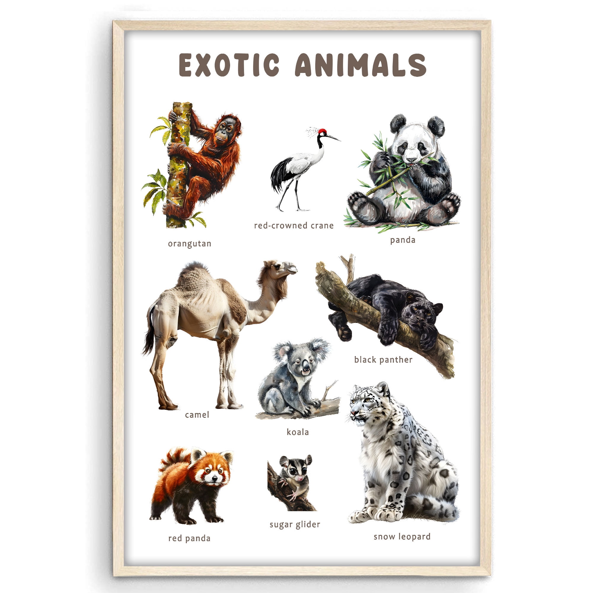 Eastern Print Educational Exotic Animals Poster, Toddler Activity Toys ...