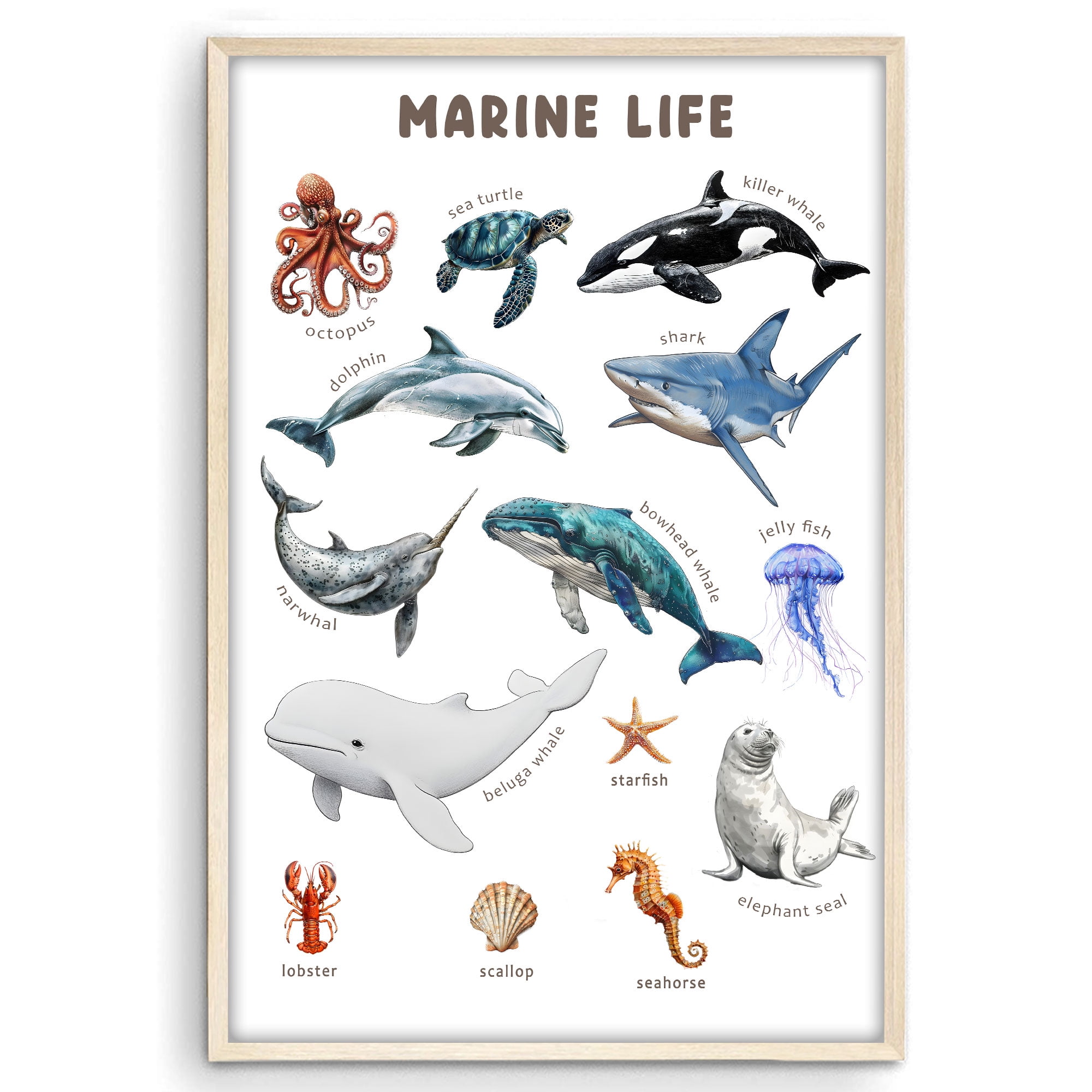 Eastern Print Educational Ocean life Poster, Toddler Activity Toys ...