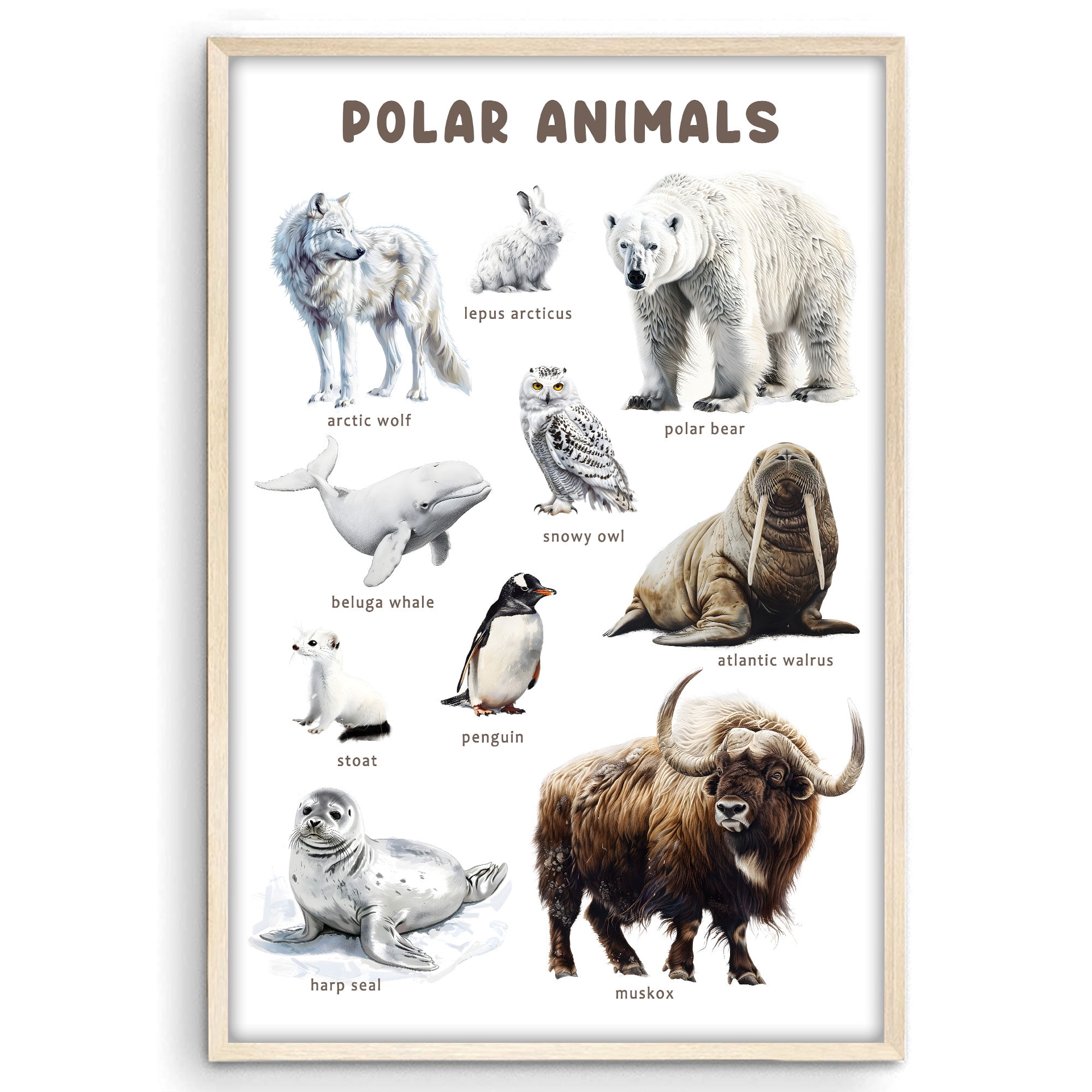 Eastern Print Educational Polar Animals Poster, Toddler Activity Toys ...
