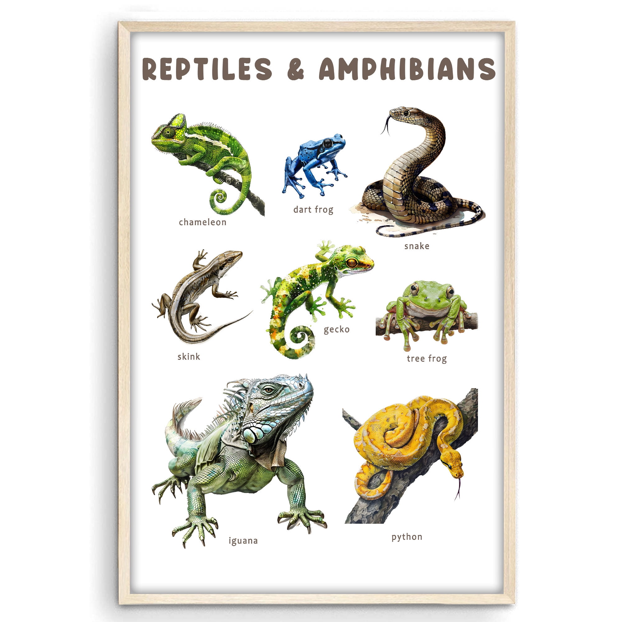 Eastern Print Educational Reptiles & Amphibians Poster, Toddler ...