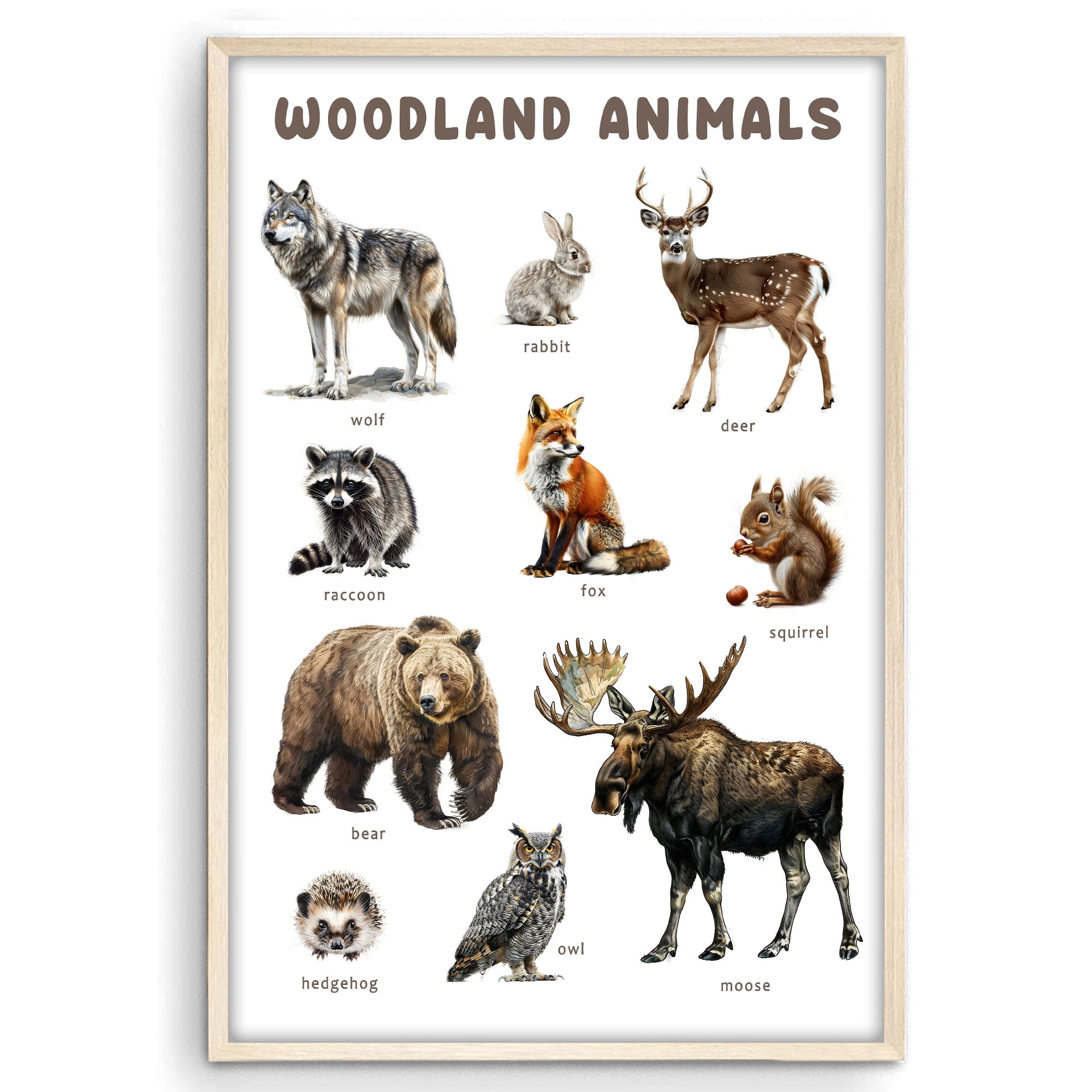 Eastern Print Educational Woodland Animals Poster, Toddler Activity ...