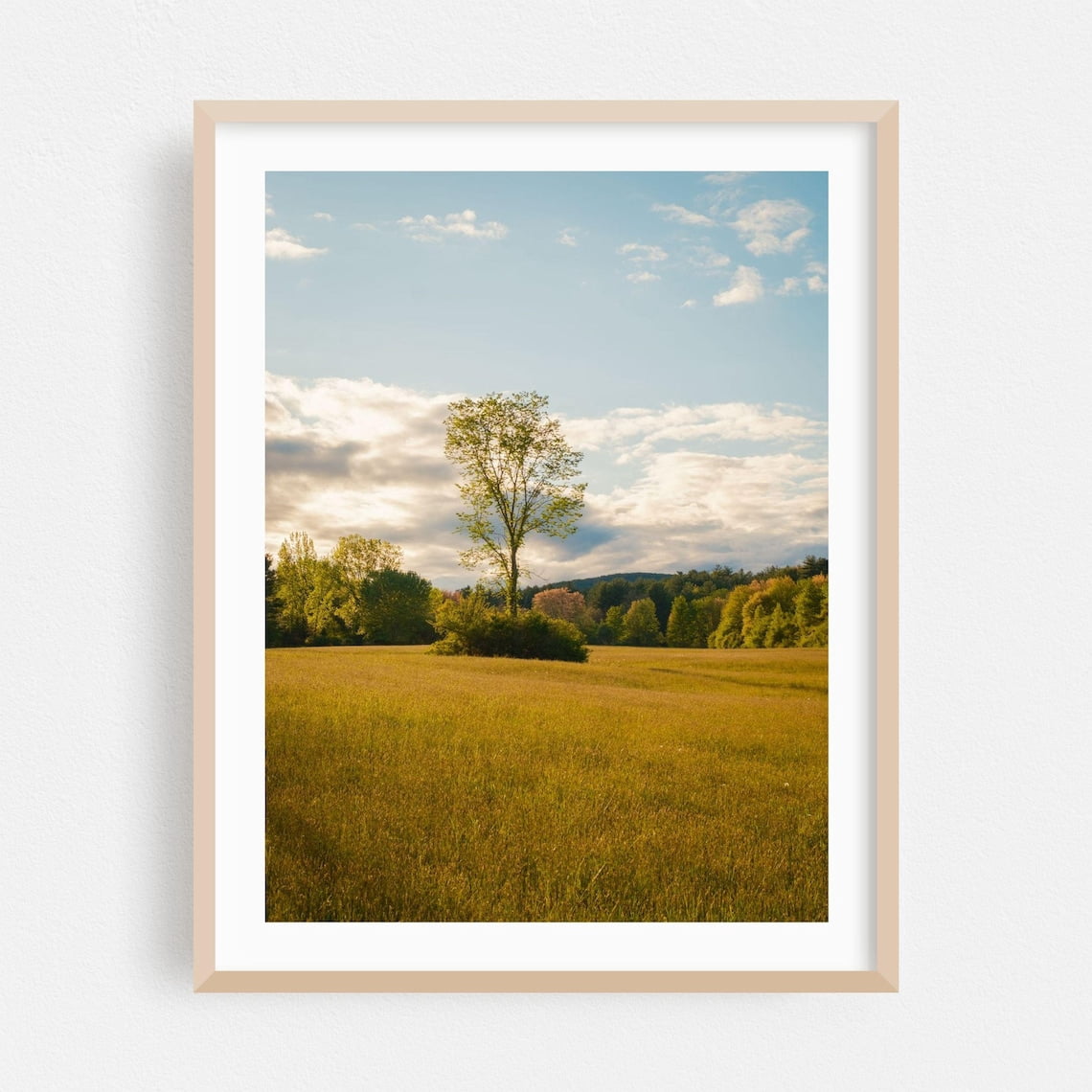 Easthampton Massachusetts Landscape Scenic Nature Pastoral Countryside ...