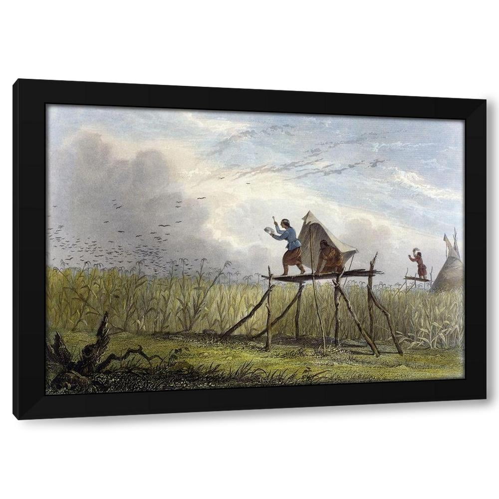 Mary Eastman 14x11 Black Modern Wood Framed Wall Art Titled - Guarding The Corn Fields - Walmart.com