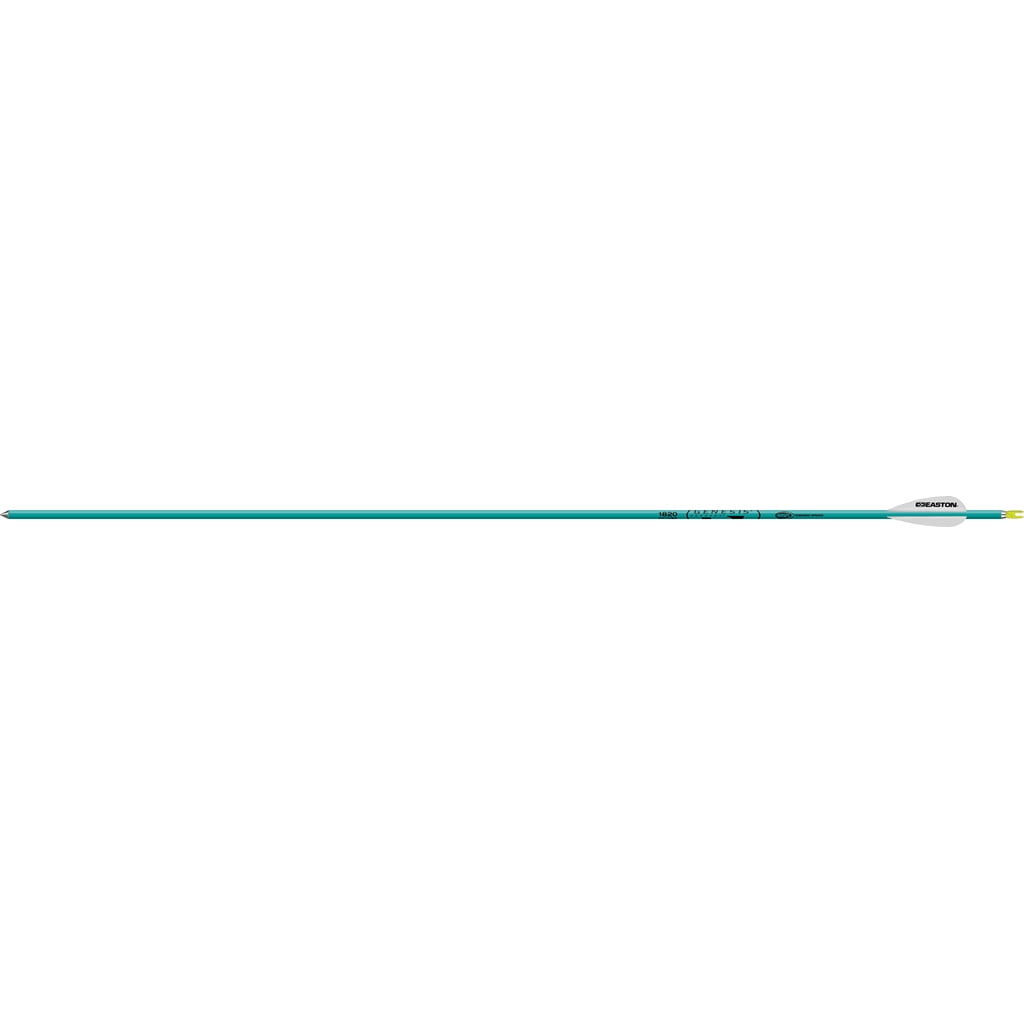 Easton Genesis Arrows Teal 1820 6 Pk. - Durable, Suitable for NASP ...