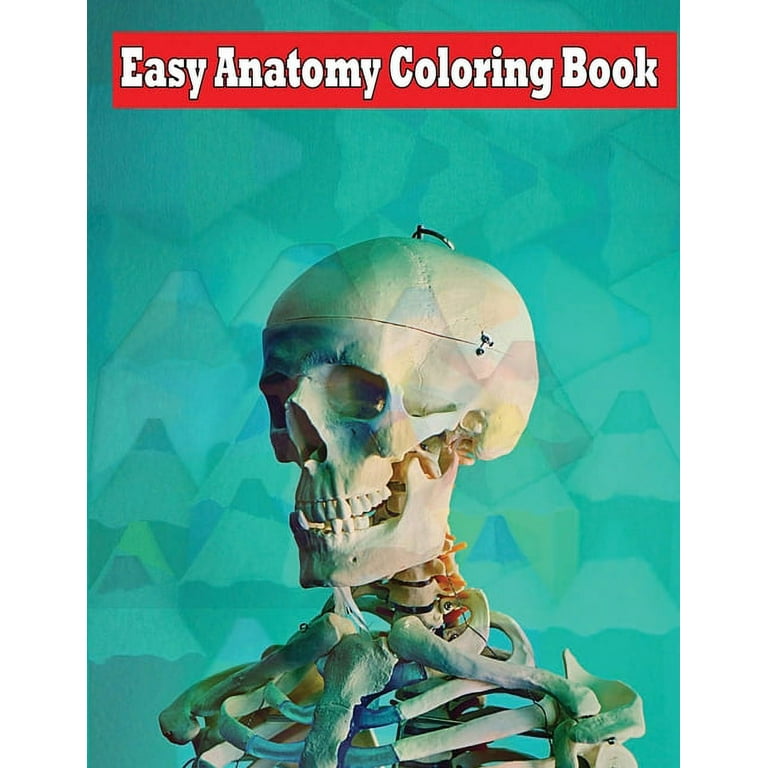 human skeleton coloring page crayola com