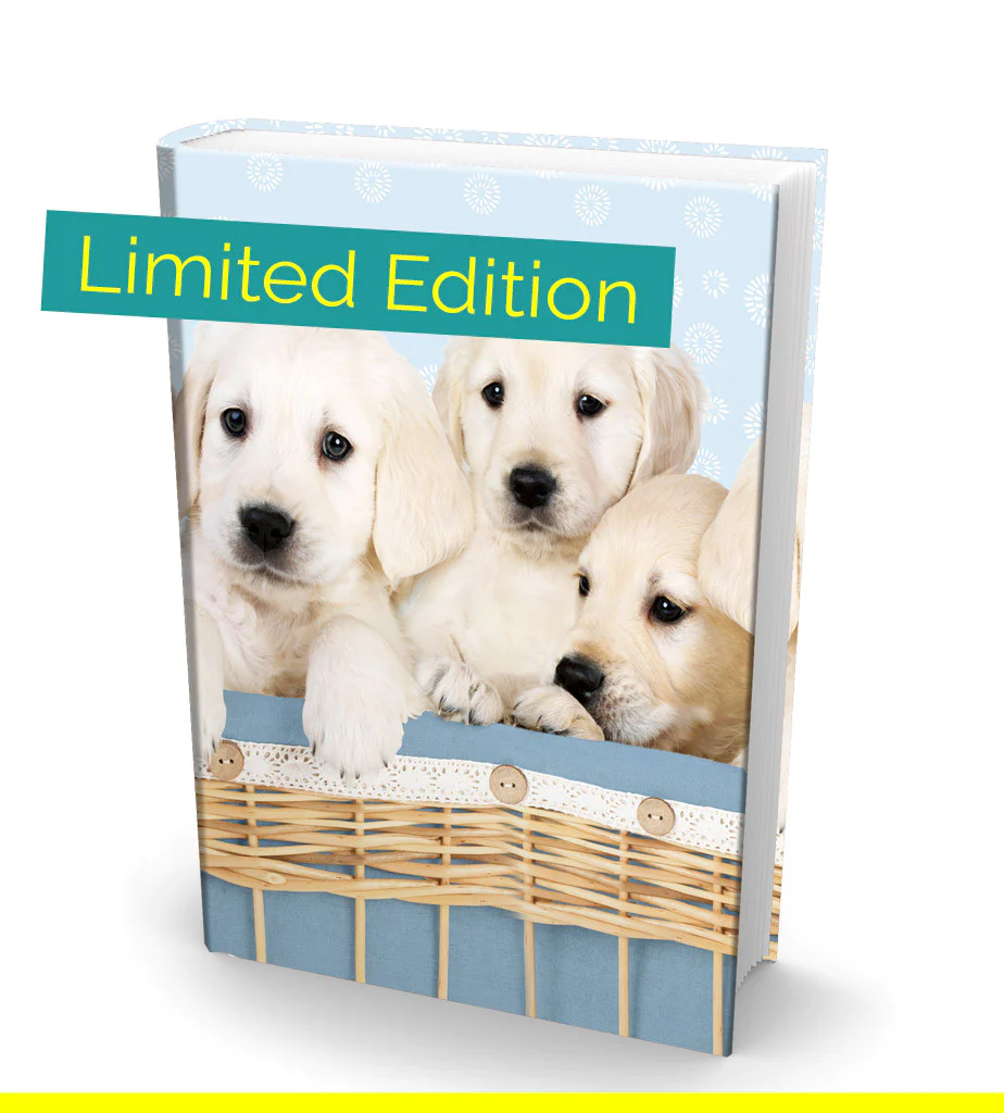 Easy Apply Reusable Book Covers Pack of 1 Stretchable Covers for Most ...