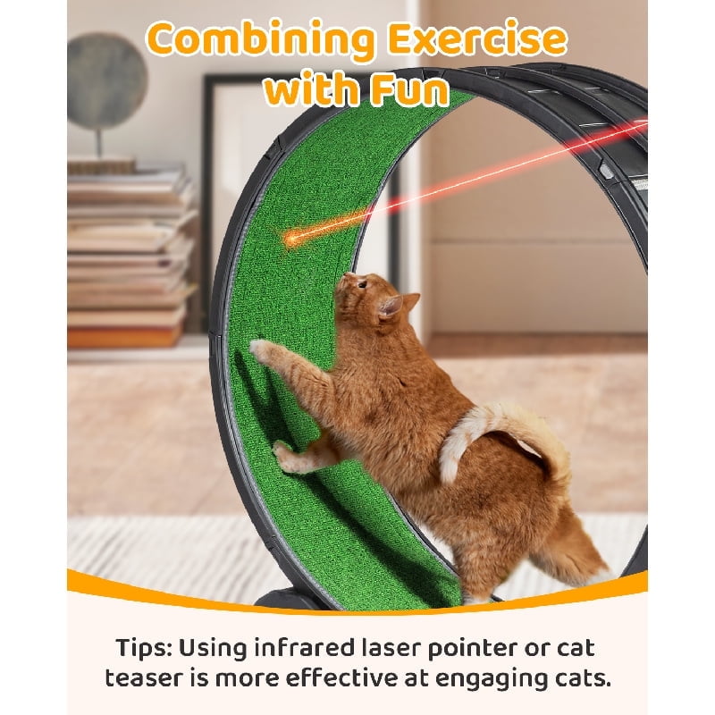 Easy Assembly and Maintenance Cat Exercise Wheel, 31 inch Cat Wheels ...