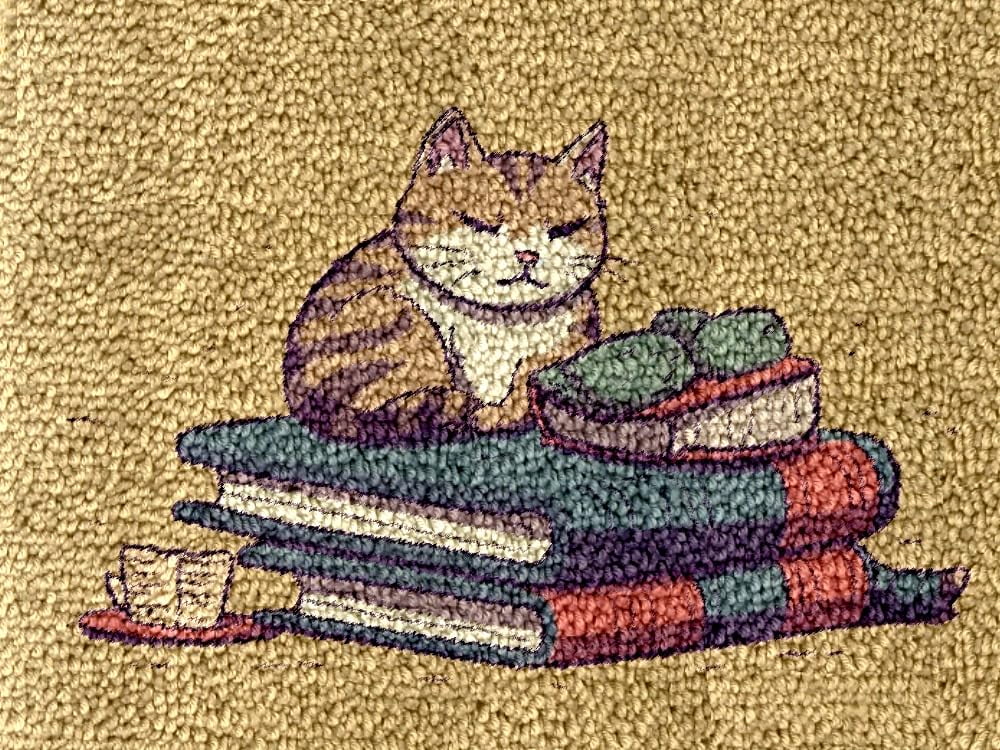 Easy DIY Latch Hook Rug Kits Cat and Books DIY Tapestry Crochet Hooking ...