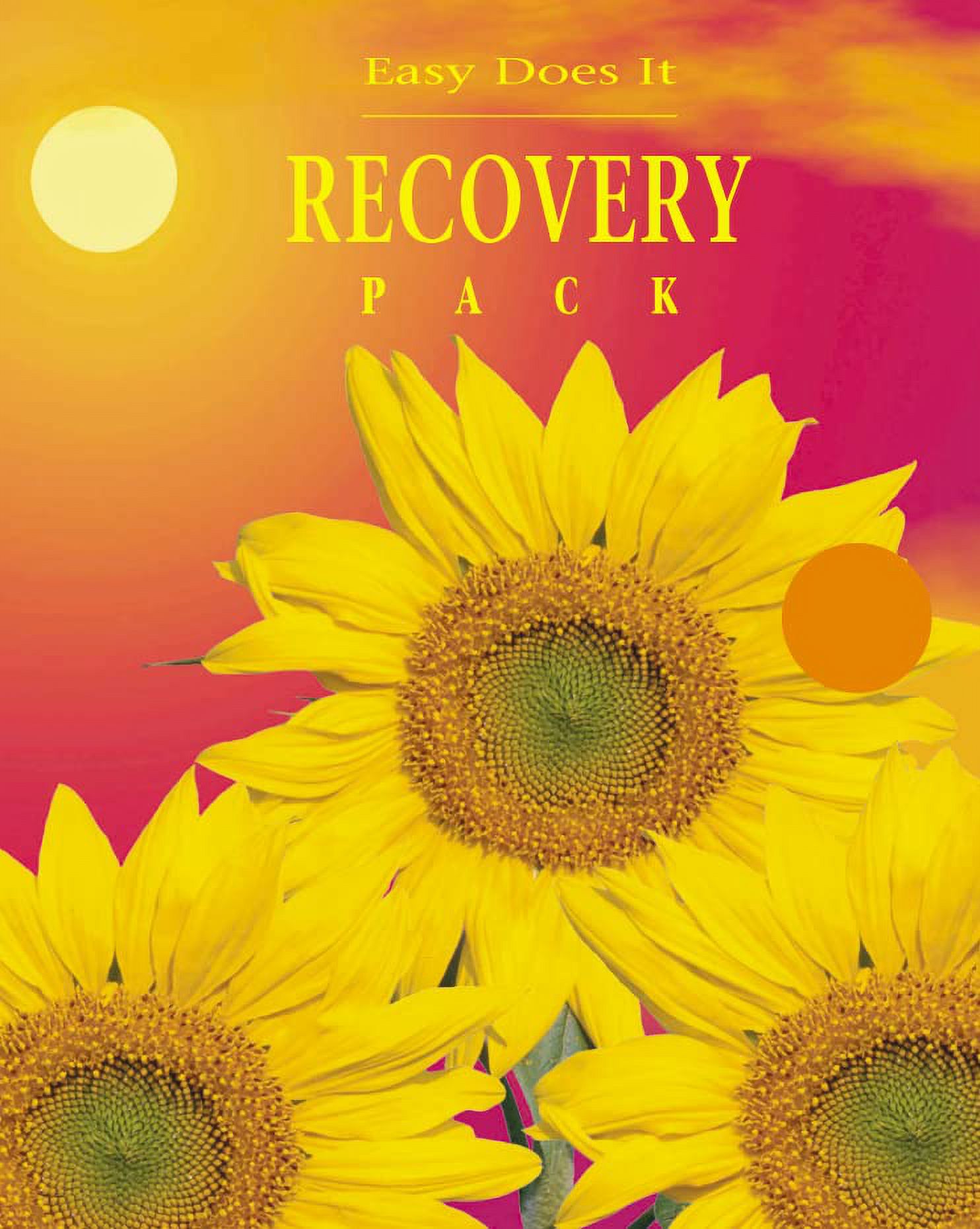 Pre-Owned Easy Does It Recovery Pack: Including the Recovery Book of ...