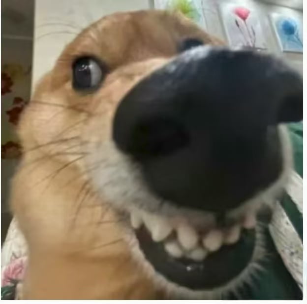 Easy Find Mini GPS Tracker, Easy Find Mini Bluetooth Tracker, GPS ...