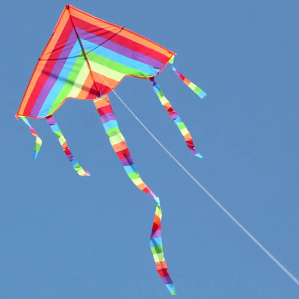 Easy Fly Colorful Rainbow Kite Outdoor Fun Sports Beach Kids Children ...