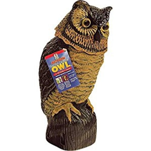 Easy Gardener Wind-Action Owl Decoy, Bobble Head Garden Pest Repellent ...