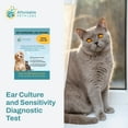 Easy Home Kit: Ear Culture and Sensitivity Test Diagnostic Test For Cat ...