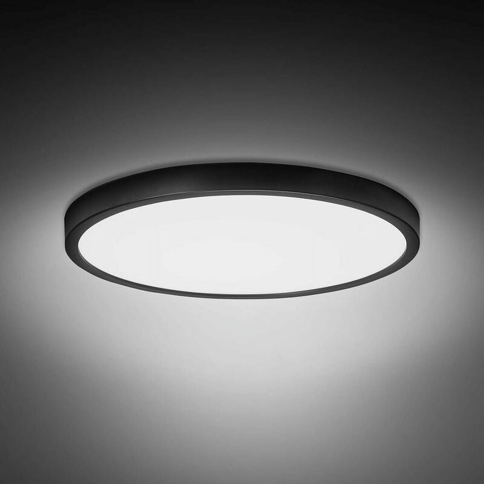 Easy Installation Flush Mount Ceiling Light, Black Led Light Fixture ...