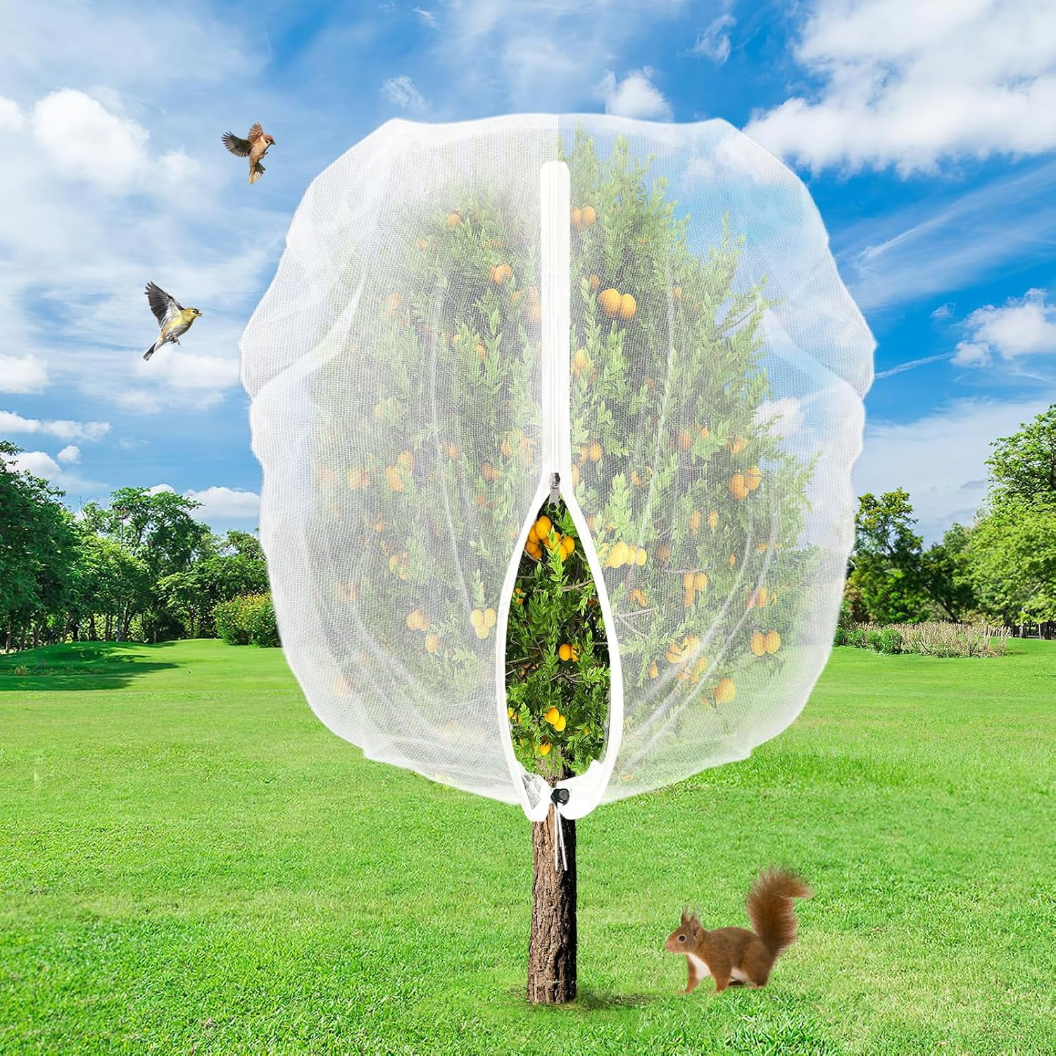 Easy Installation Fruit Tree Netting with Zipper & Drawstring - 6.2x6 ...