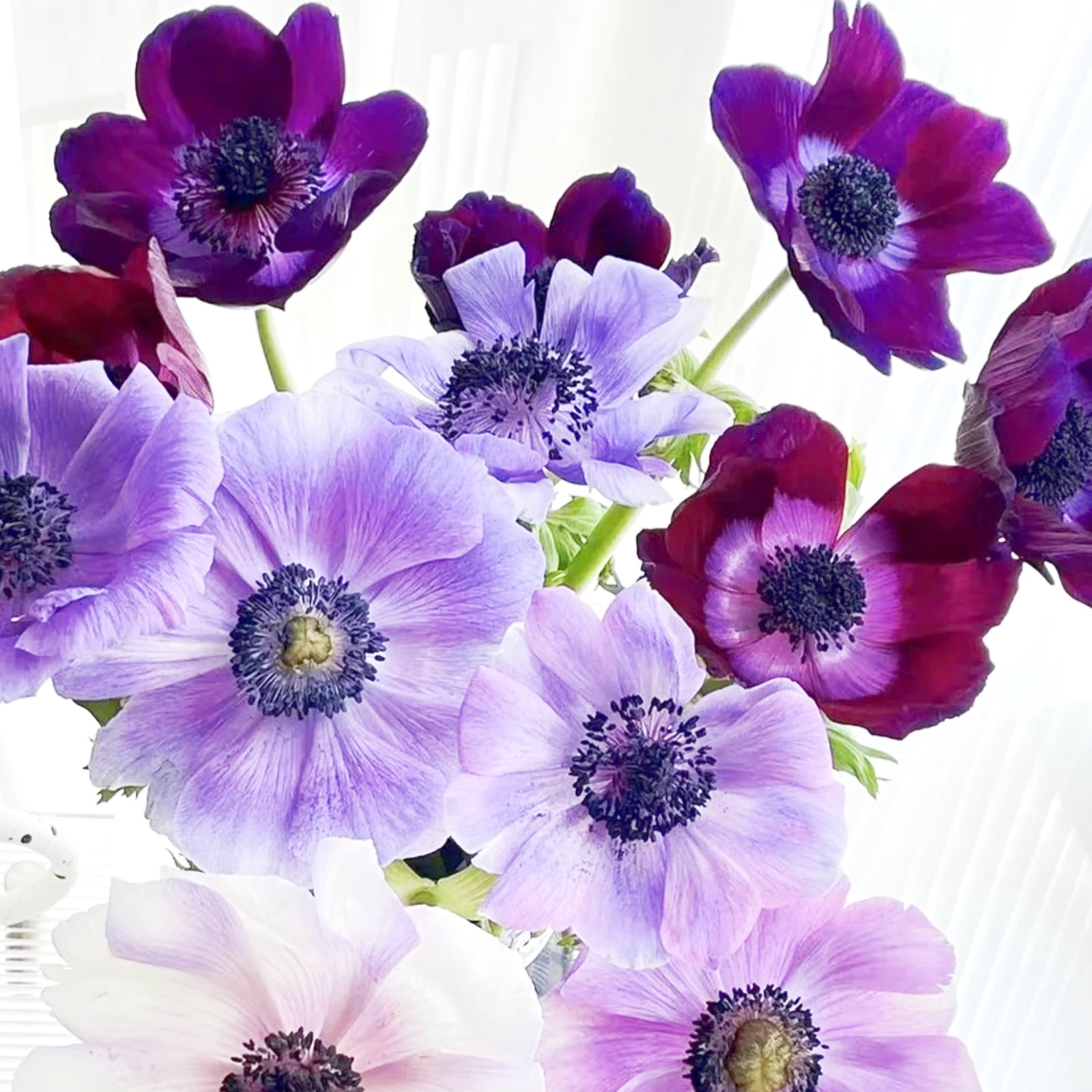 Easy Planting(anemone)-Garden decoration - Walmart.com
