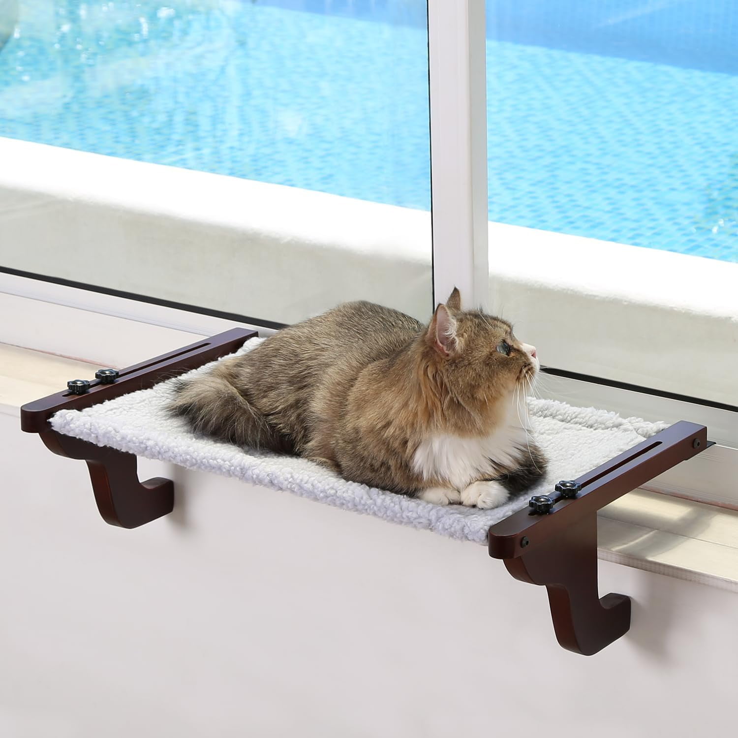 Easy Seat Cat Perch for Window Sill - Hammock Design w/Premium Wood ...