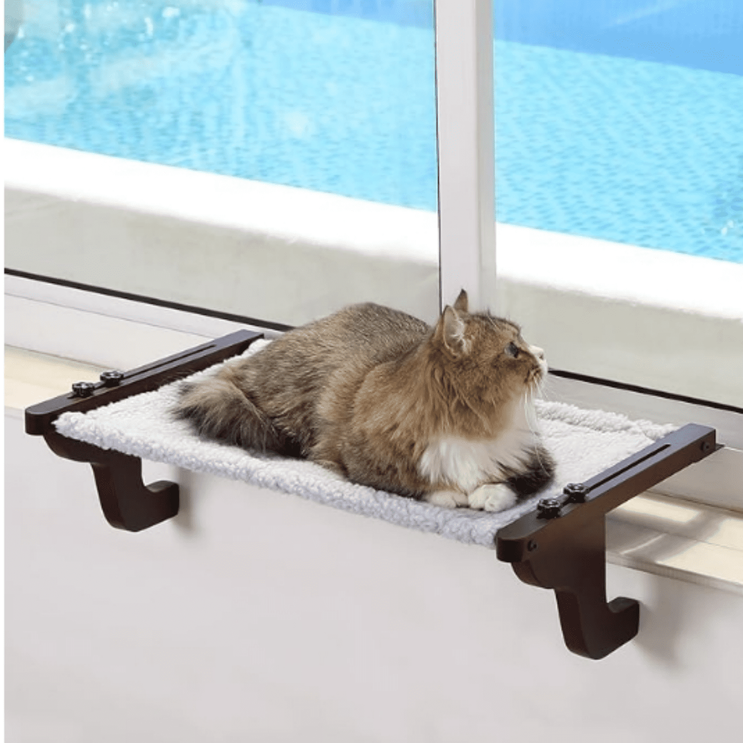 Easy Seat Cat Perch for Window Sill - Hammock Design w/Premium Wood ...