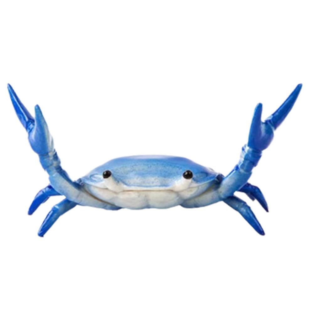Easy To Hold Useful Weightlifting Crab Pen Bright Color Simulation Crab ...