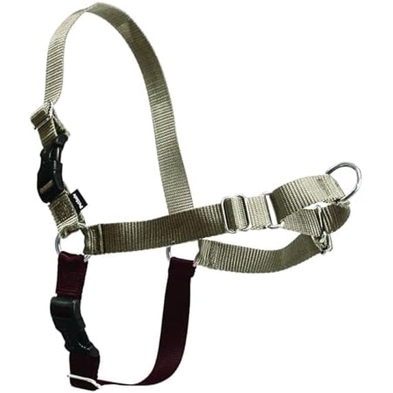Easy Walk Harness for Dogs - Pull-Free Walks - Patented Martingale Loop ...