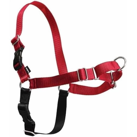 Easy Walk Harness for Dogs - Pull-Free Walks - Patented Martingale Loop ...
