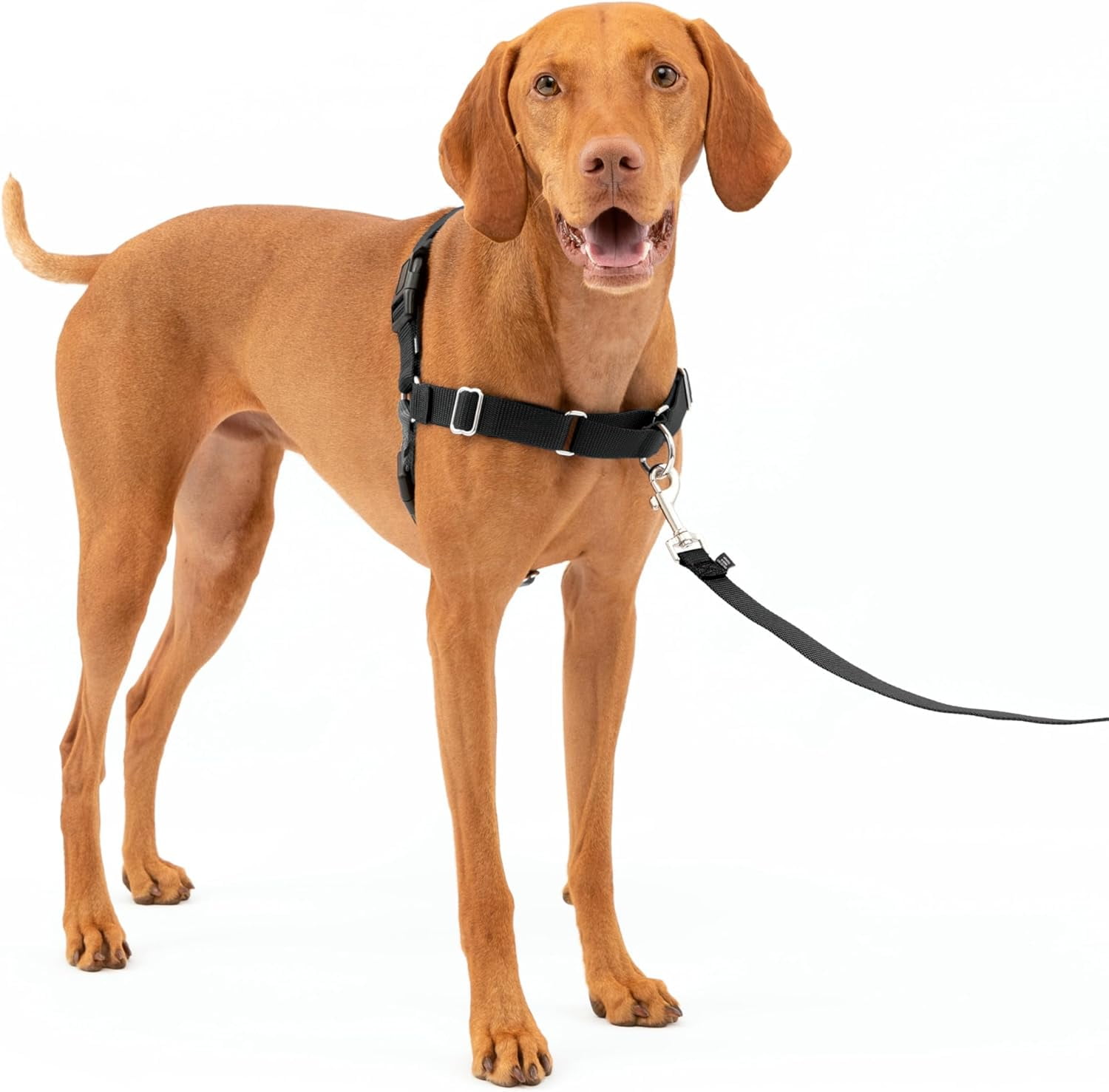 Easy Walk No-Pull Dog Harness - The Ultimate Harness to Help Stop Pulling - Take Control & Teach ...