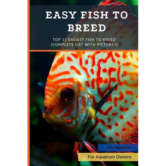 Easy fish to breed: Top 11 Easiest Fish To Breed (Complete List With ...