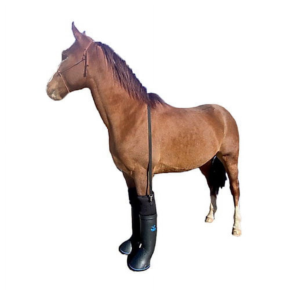 EasyCare Easyboot Ultimate Remedy Therapy Boot L - Walmart.com