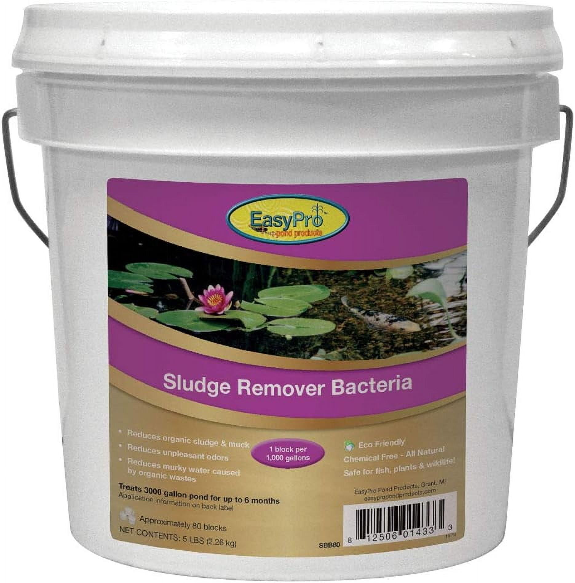 EasyPro Pond Product SBB24 Sludge Remover Bacteria – 24ct. 1oz Blocks ...