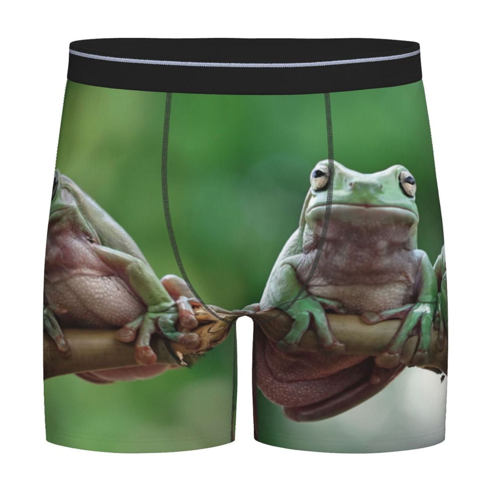 Easygdp Australian White Tree Frog Sitting on Branch Men's Boxer Briefs ...