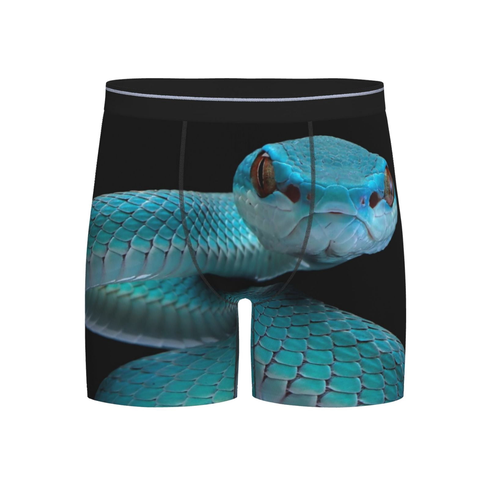 Easygdp Blue Viper Snake1 Men's Boxer Briefs Men’s Underwear Boxer ...